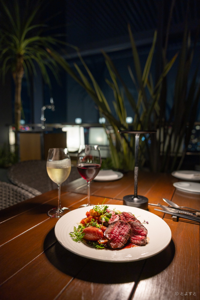 toyosu-20250729-penthouse-37 | とよすと - 毎日更新！豊洲エリアの今がわかる地域情報サイト